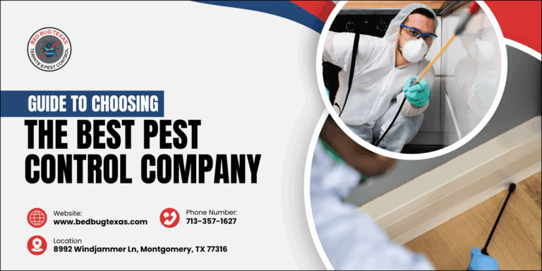 Guide to Choosing the Best Pest Control Company Near You